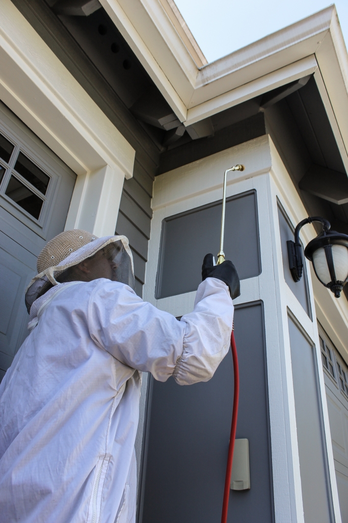 StopBuggingMePestControl-4929 - Stop Bugging Me Pest Control